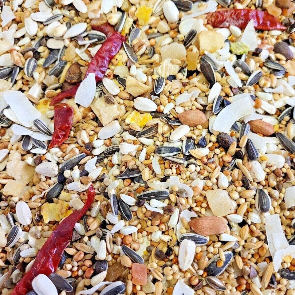 COCKATIEL PARAKEET PARROT CONURE FRUIT SEEDS MIX FOOD FOR BIRDS ...