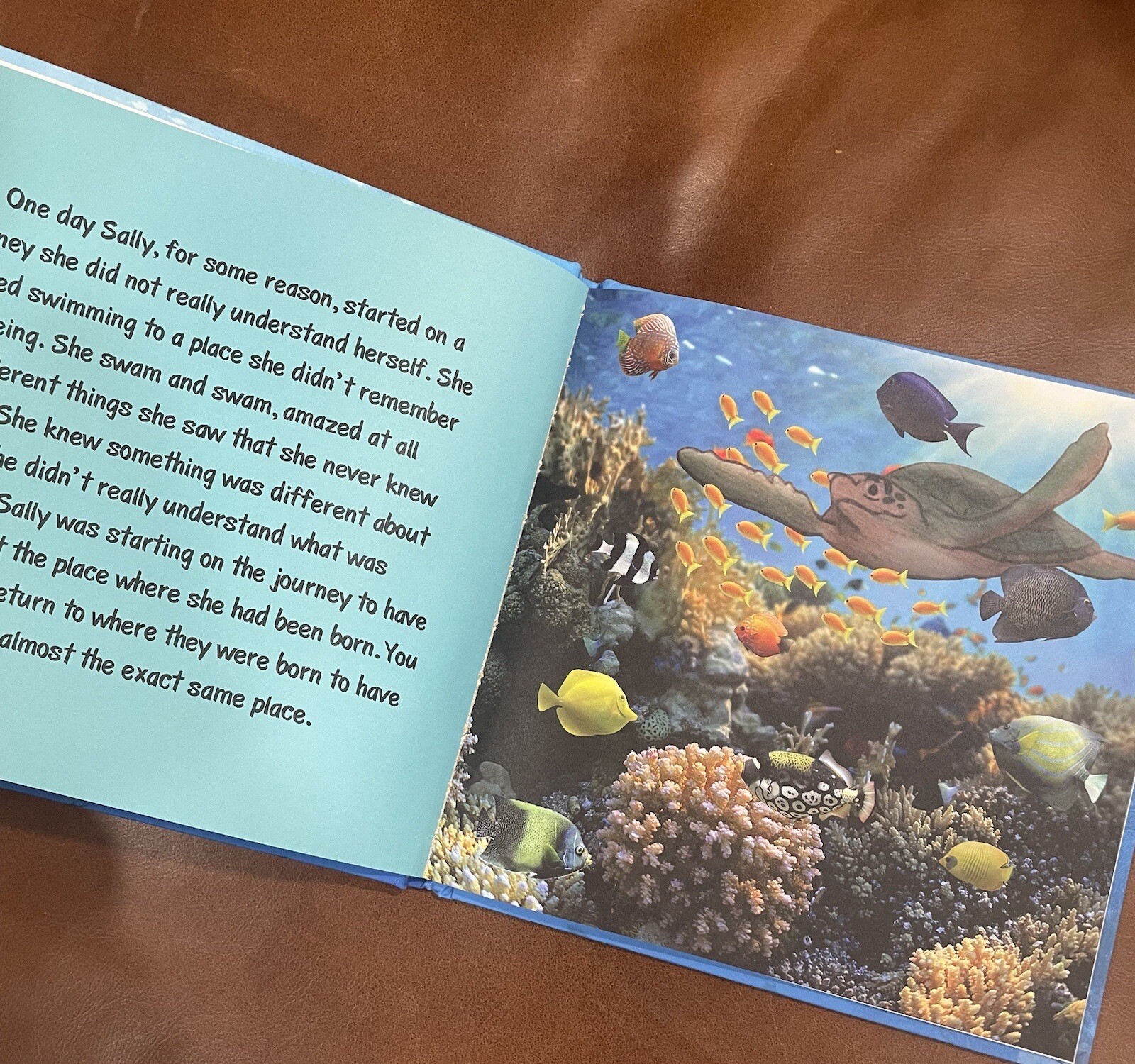 Sally the Sea Turtle by Gayle Hooks (2015, Hardcover) for sale online ...