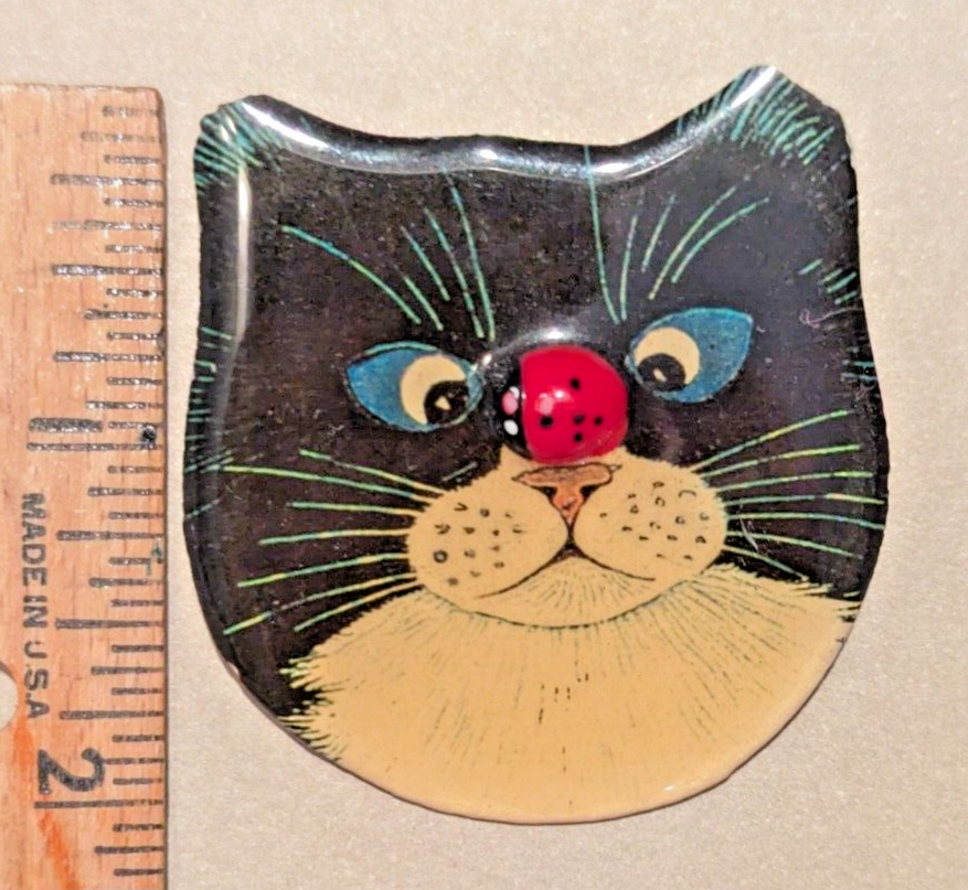 Vintage Epoxy Cat With A Ladybug Nose Brooch Pin | eBay