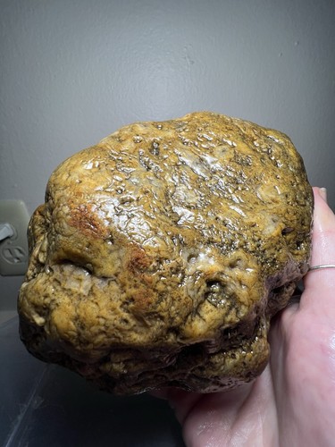 4lb .9oz Lake Superior Cold Water Agate Large Rough Display Specimen ...