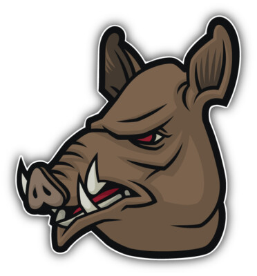 Wild Boar Head Mascot Animal Car Bumper Sticker Decal | eBay