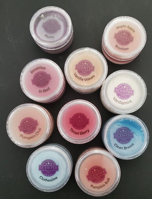 Scentsy Lot of 10 Assorted Mini Party Testers Wax Melts Consultant ...