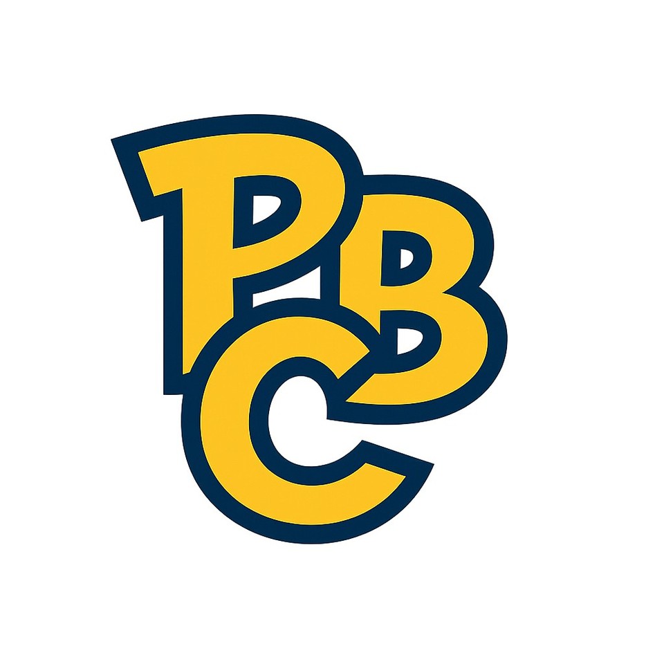 Beldum Reverse Holo Common JTG 061/159 NM | eBay UK