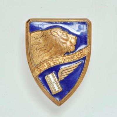 VINTAGE FRENCH MILITARY BADGE PIN "CIE D'HONNEUR" ENAMEL/BRASS LION | eBay