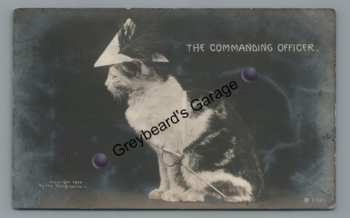 RPPC Commanding Officer Kitten Cat Dressed Up Rotograph Real Photo ...