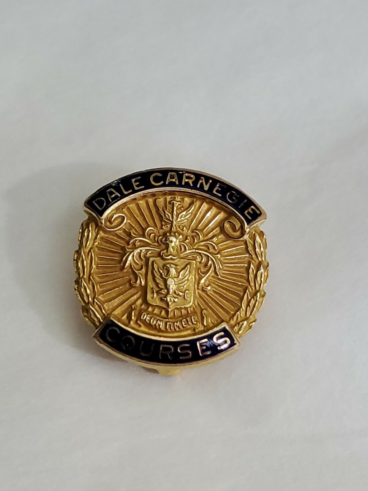 Dale Carnegie Symbol