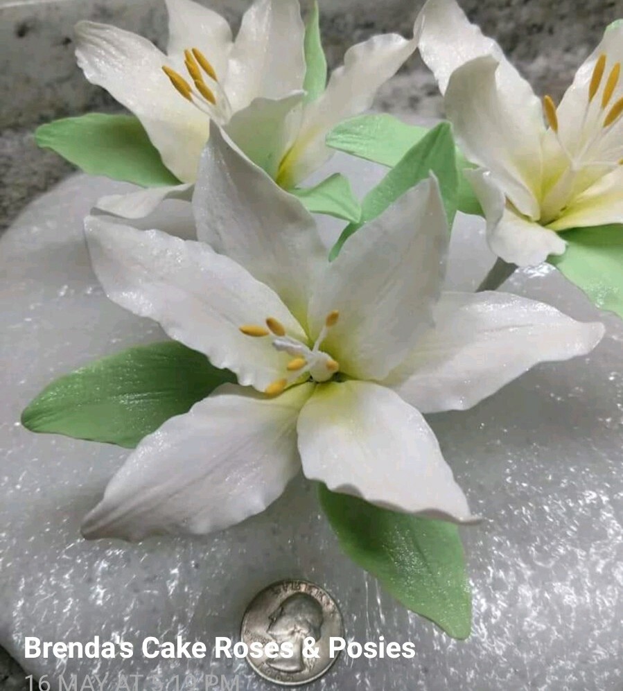2 HANDMADE GUM PASTE LILY: Choose Your Colors - Decorate Your Own Cake ...