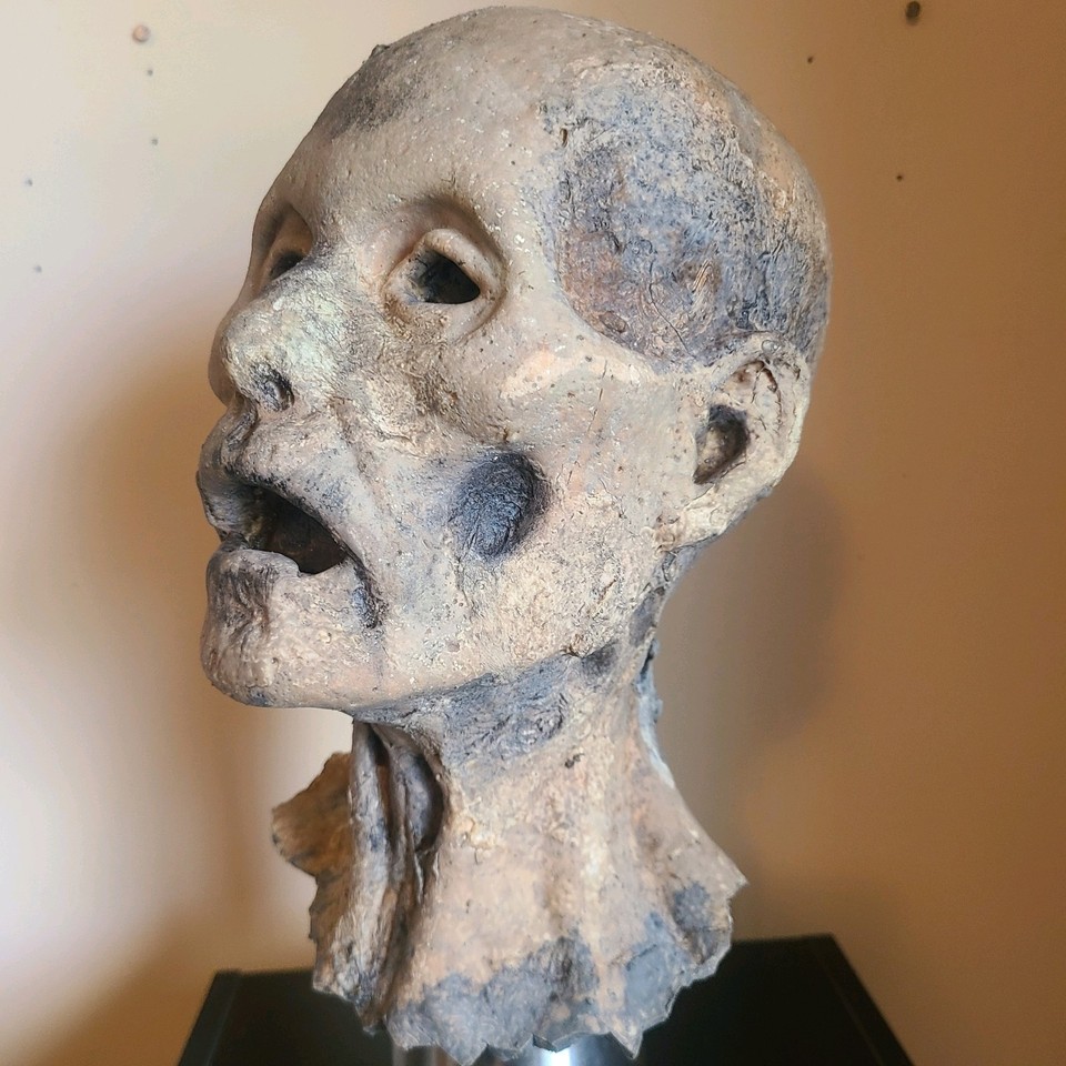 Severed Rotted Corpse Zombie Dead Life Size Head Prop Haunted Halloween ...