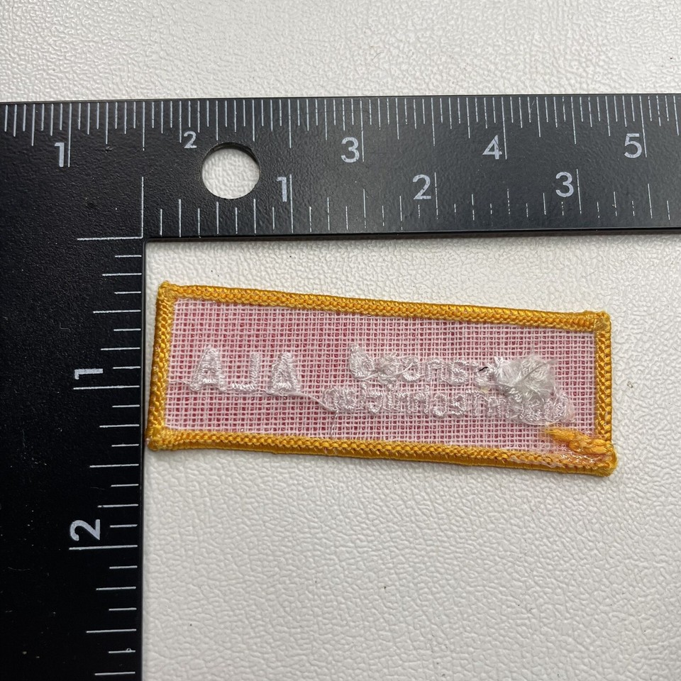 ALA ADVANCED ALARM TECHNICIAN Tab Patch 20E9 | eBay