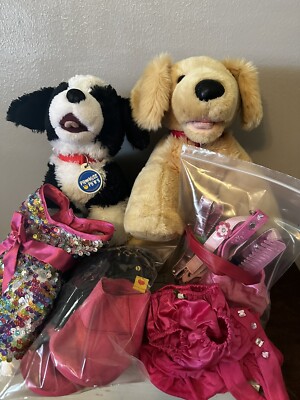 Build A Bear Golden Retriever Border Collie 17 Piece Lot With Clothes ...