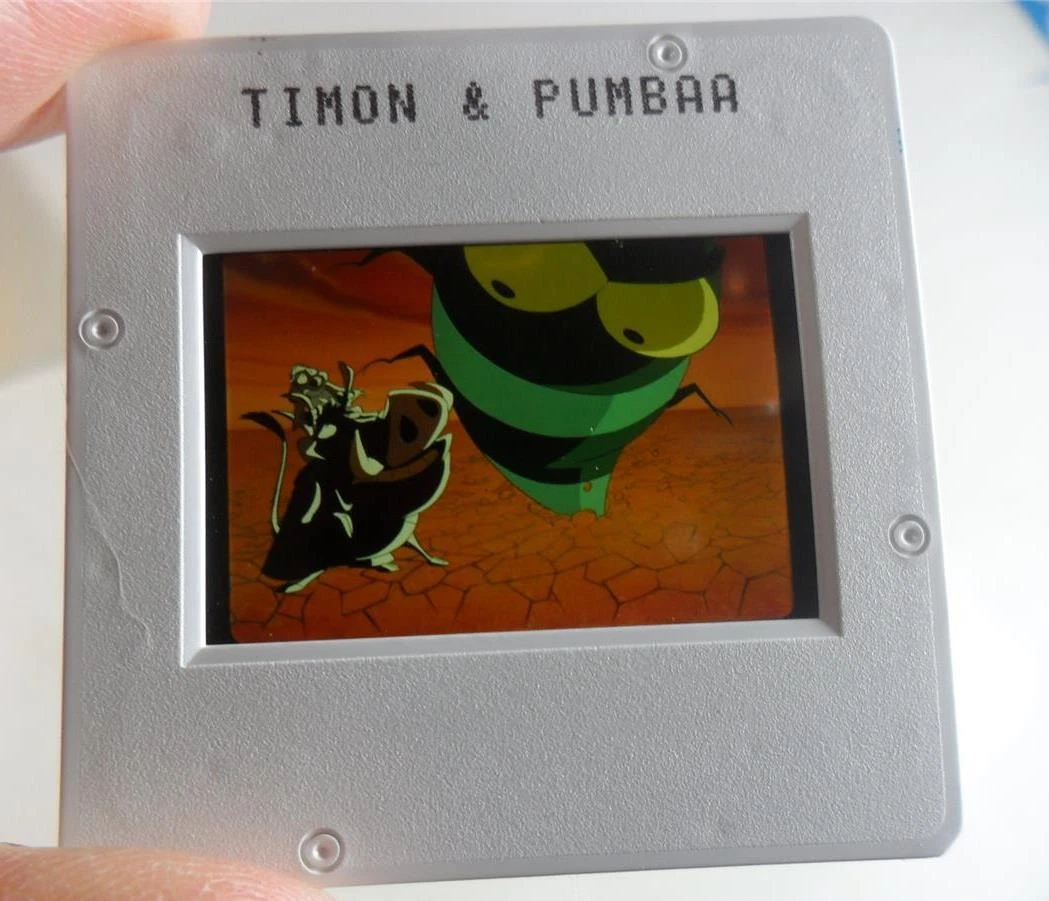 Disney Channel Timon And Pumbaa