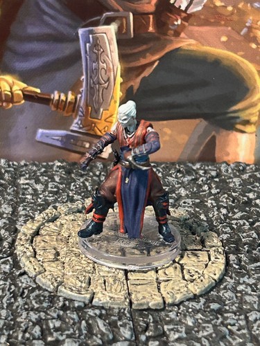 Hollowborn Rogue D&D Miniature Dungeons Dragons Darklands Rising 9 drow ...