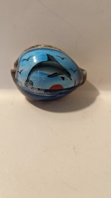 Hand Painted Dolphin Seashell | eBay