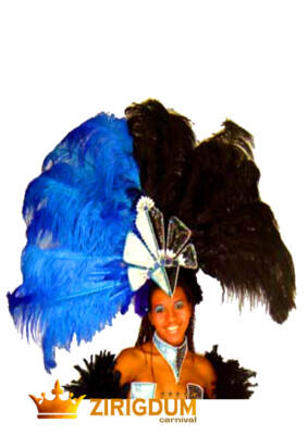 Brazilian feather headdress, carnival headdress, Caribbean headdress ...