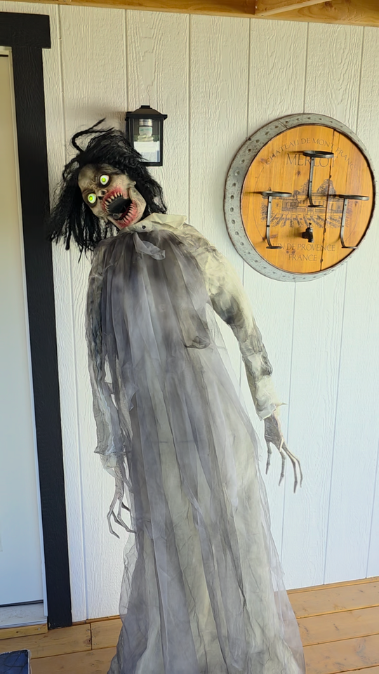 Twitching Banshee Witch Animatronic Spirit Halloween 6 Ft! Easy ...