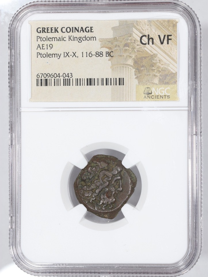 Ptolemaic Kingdom, under Ptolemy IX-X AE19 Greek Coin 116-88 BC NGC Ch ...