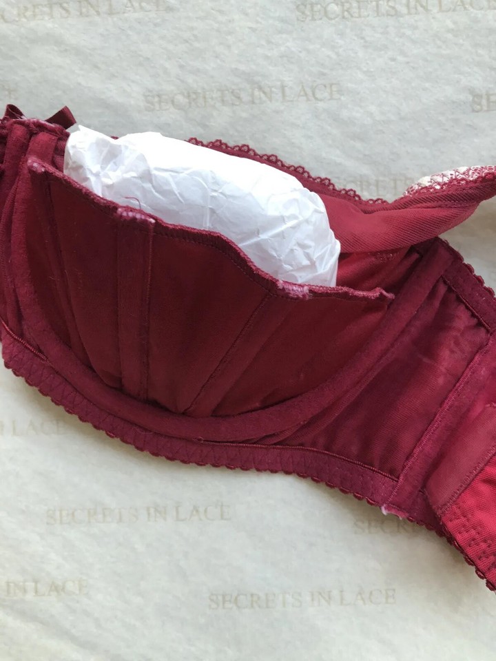 Red Lana 40D Cabaret Plunge Bra Bra by Secrets In Lace NIP Red Style ...