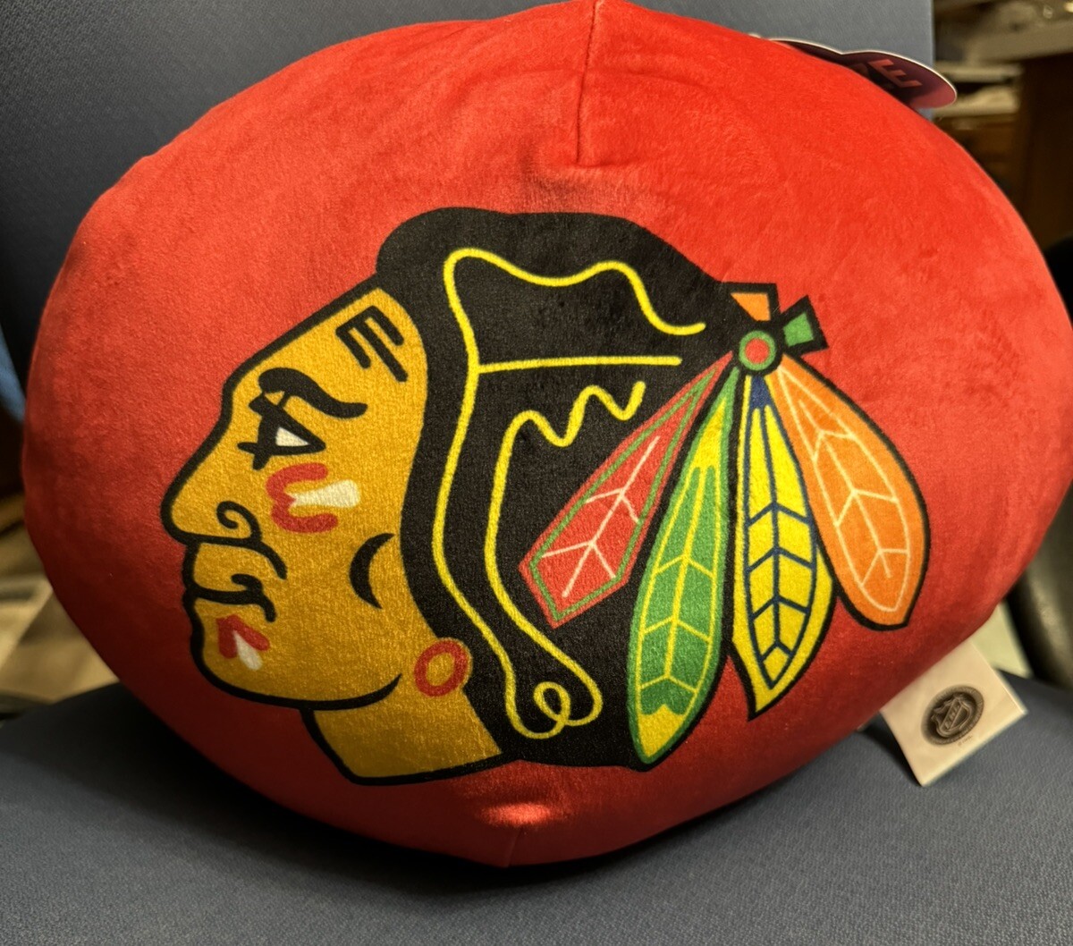Chicago Blackhawks 11" Cloud to go Pillow - NHL Sphere Shape | eBay