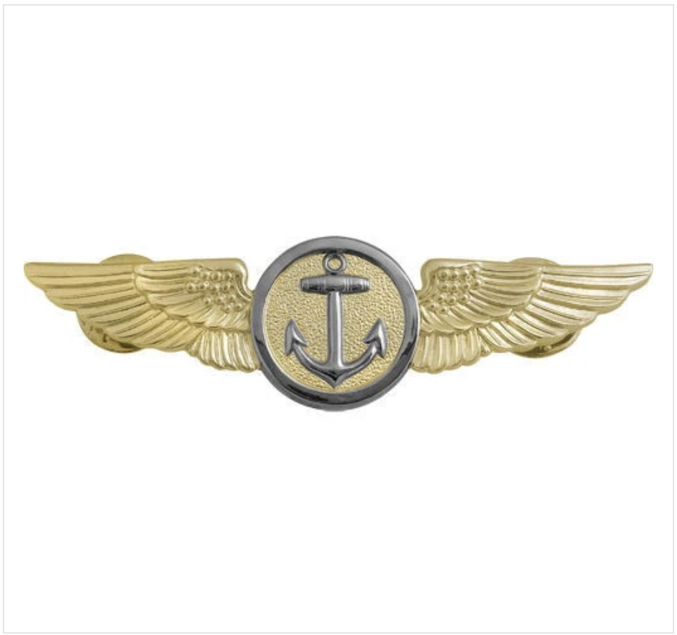GENUINE U.S. NAVY BADGE: NAVAL AVIATION OBSERVER FLIGHT METEOROLOGIST ...