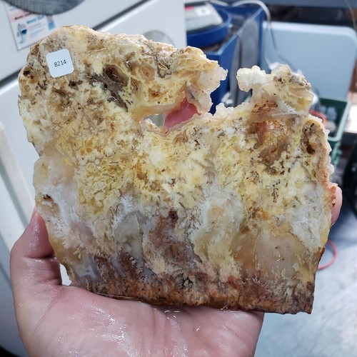 Feather Ridge Plume Agate Slab | eBay