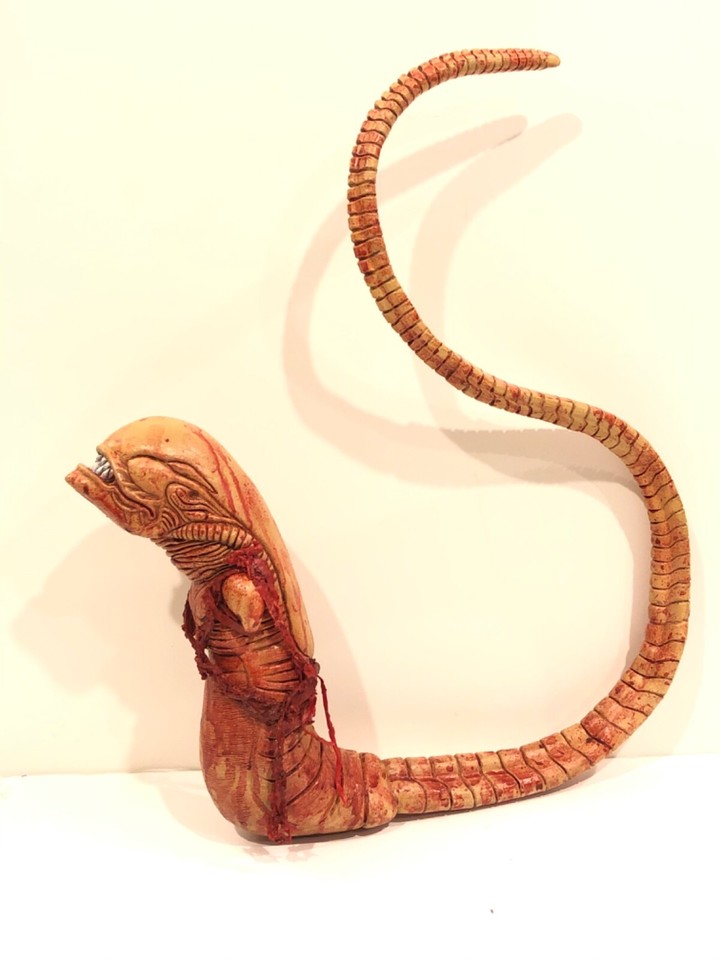 Alien Xenomorph Chestburster latex Model Kit custom | eBay