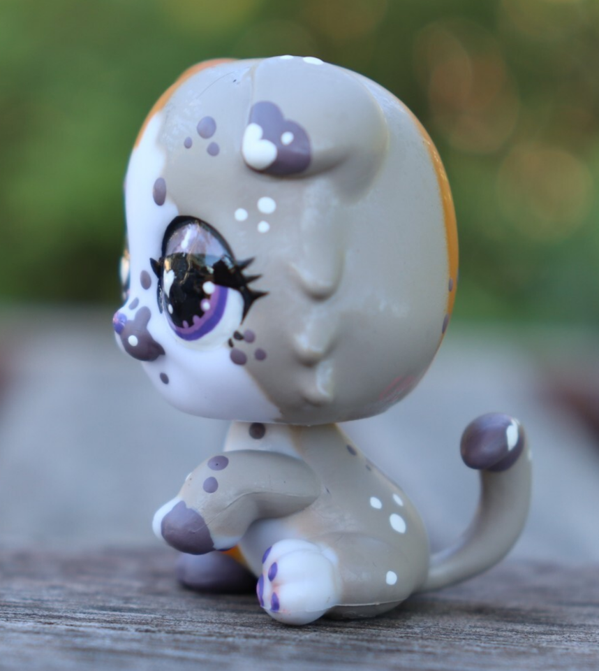 Littlest Pet Shop/ LPS, Calico Scottish Fold Cat, OOAK Custom, Hand ...