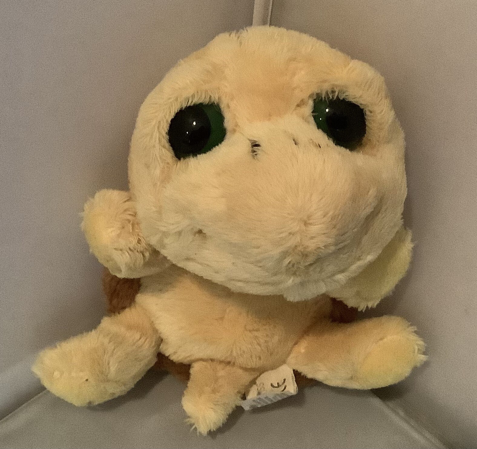 Russ Lil Peepers Turtle Shelly Small Plush & Beans 6" L x 2" tall | eBay