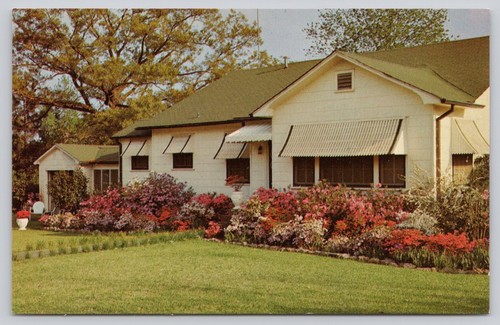 McComb Mississippi Azalea Trail Photochrome Postcard by Deep South | eBay