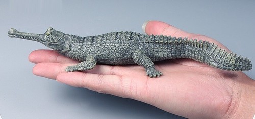 Gator Crocodile 8 Inch Animal Toy PVC Action Figure Doll Kids Toys ...