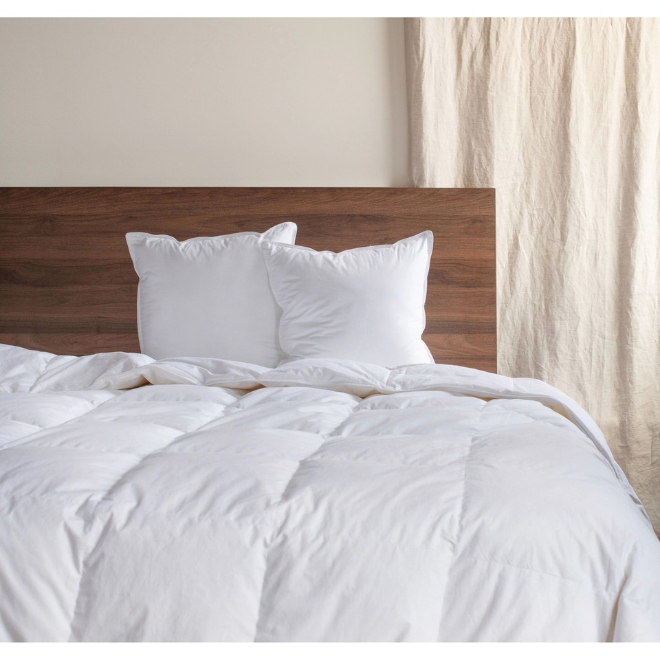 2 Pack Down Alternative Throw Pillow Insert by BOKSER HOME | eBay