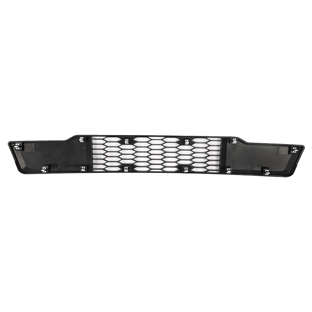 For 2017 - 2020 Ford F150 Raptor Front Bumper Lower Grille Insert | eBay