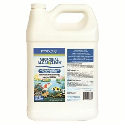 API Pond Care Pond Microbial Algae Clean Algae Control 1 Gallon 269 C ...