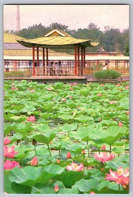 Postcard - Tanggangzi Hot Spring, Convalescent Hospital, Anshan China ...