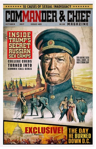 Donald Trump Parody Poster #6 - 11x17" printed on double thick poster ...