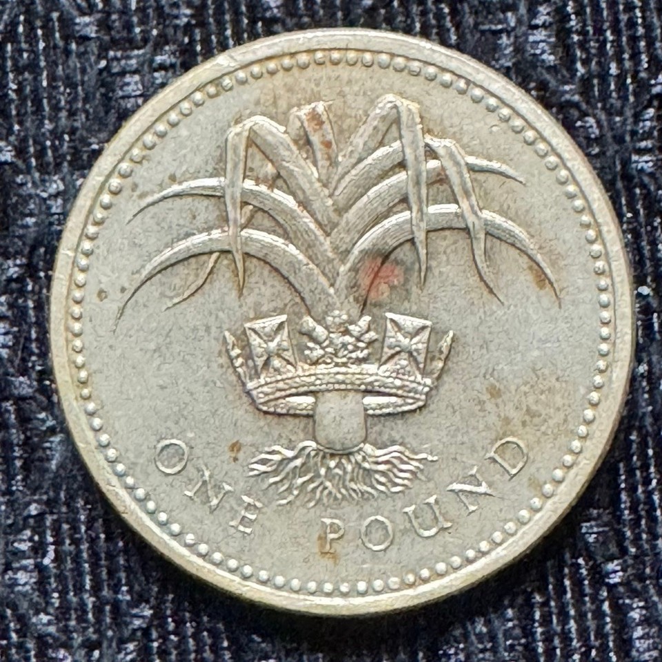 1 Pound - Elizabeth II 3rd portrait; Welsh Leek 1985 United Kingdom ...