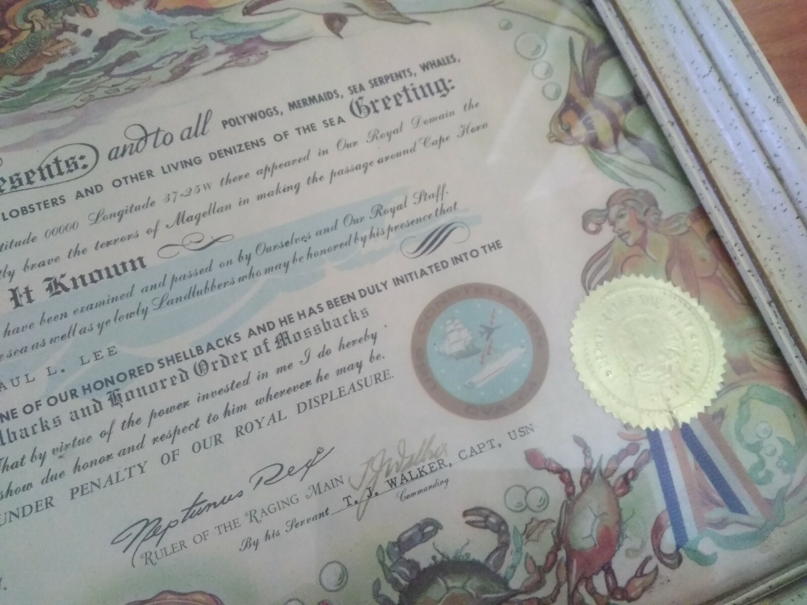 FRAMED 1962 Issued Shellback Imperium Neptuni Regis Certificate Paul E ...