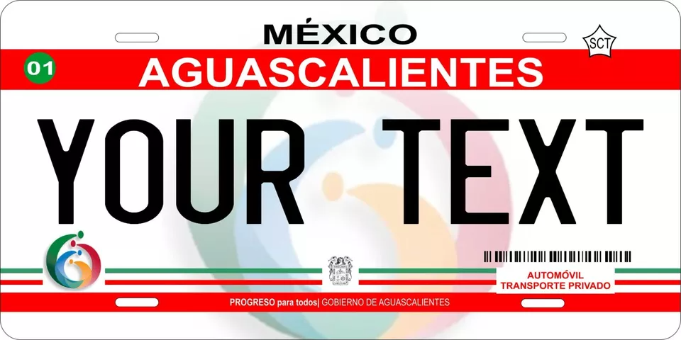 Any State Any Text 250 Custom License Plate Personalized US Canada ...