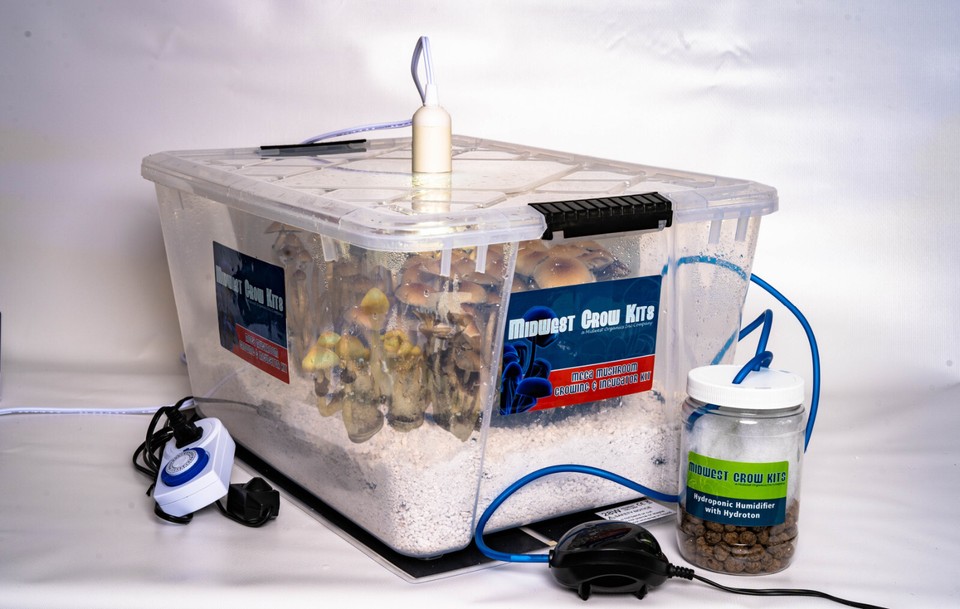 Mega Mushroom Growing & Incubator Kit | Fully Automated | 18 Sterilized ...