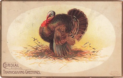 Clapsaddle Thanksgiving Postcard Turkey Artist Signed 1908 D5 | eBay