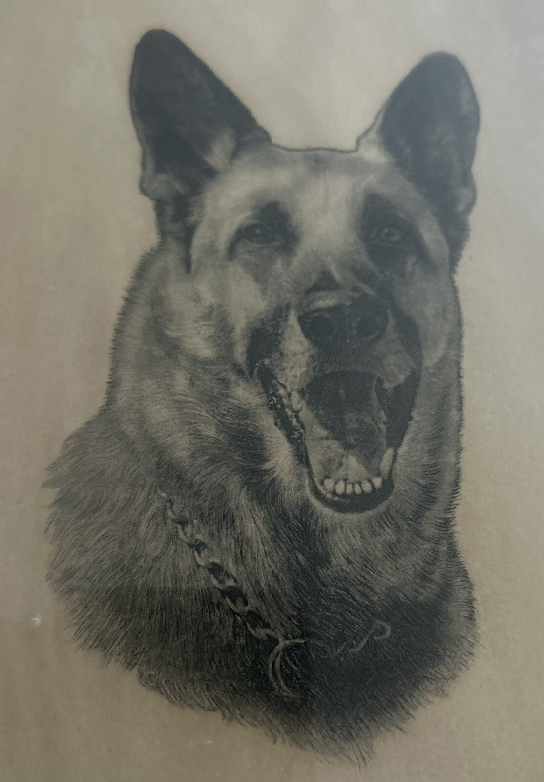Original Vintage Etching of German Shepherd “Seeing Eye Dog” by John C ...