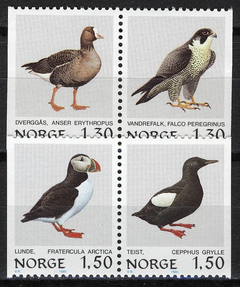 Norway 1981, Norwegian birds II set pairs MNH, NK 875-878 | eBay