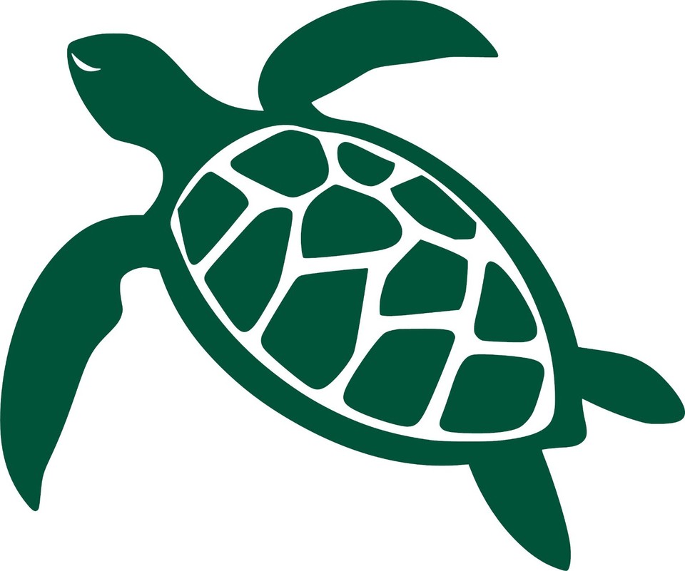Turtle Silhouette Bumper Loggerhead Turtle Vinyl Decal Loggerhead ...