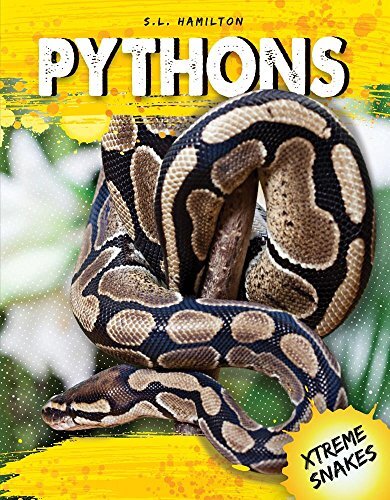 Pythons (Xtreme Snakes) by Hamilton, S L Hardback Book The Fast Free Shipping 9781532116032 | eBay