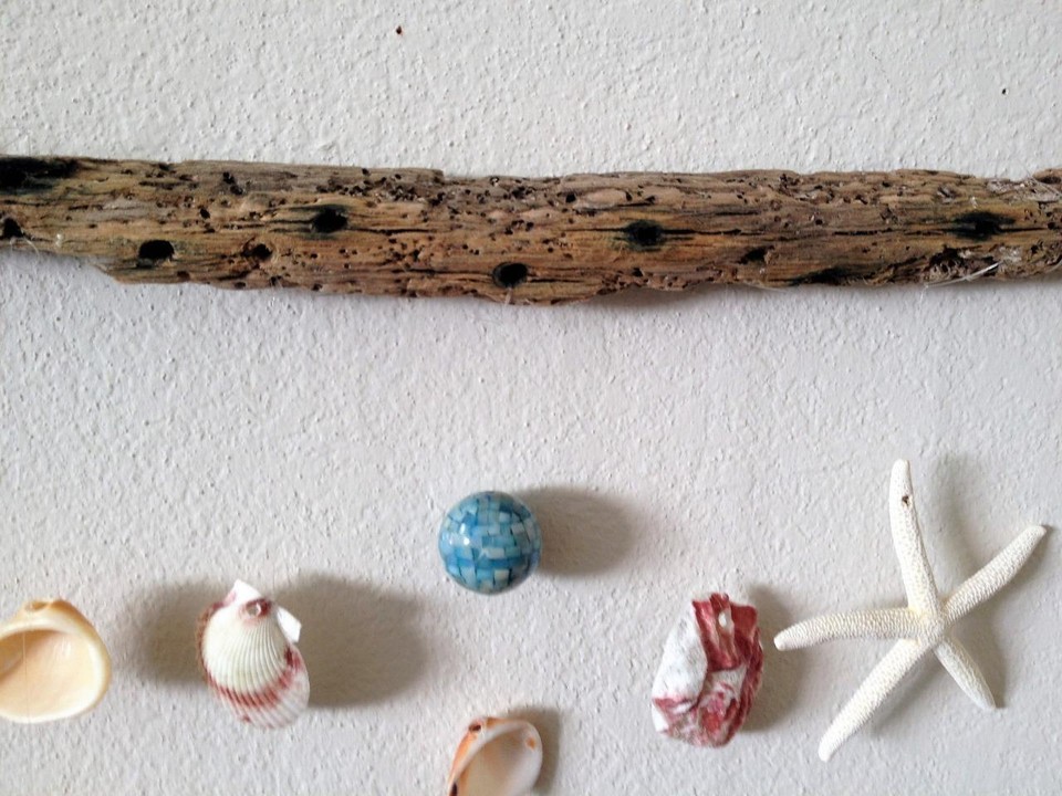 Shell Wind Chimes (Z) Starfish Seashell wind chimes Sun catcher | eBay