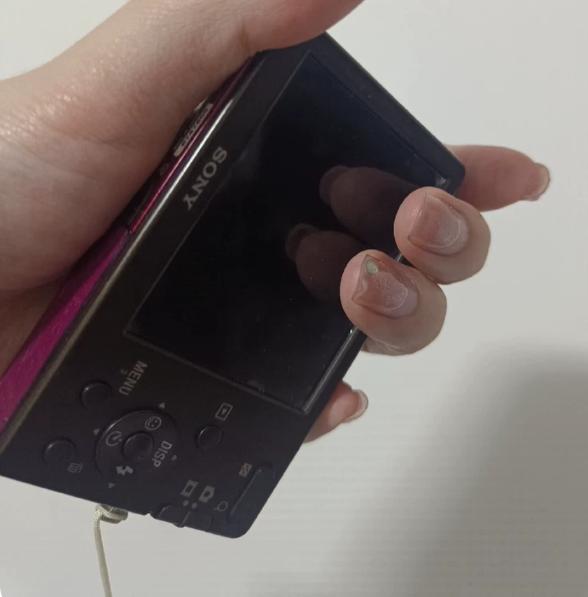 Sony Cybershot DSC-W310 12.1MP 4X Optical Zoom Digital Camera | eBay