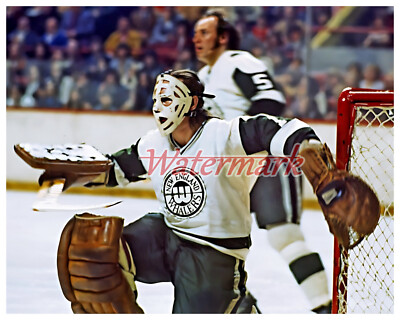 WHA Hartford Whalers Goalie Al Smith Game Action Color 8 X 10 Photo ...