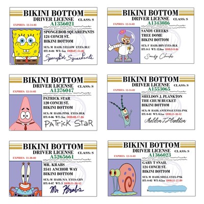 SpongeBob Family ID/Driver license Card Sticker Pack Bundle 4.5”x 2.85 ...