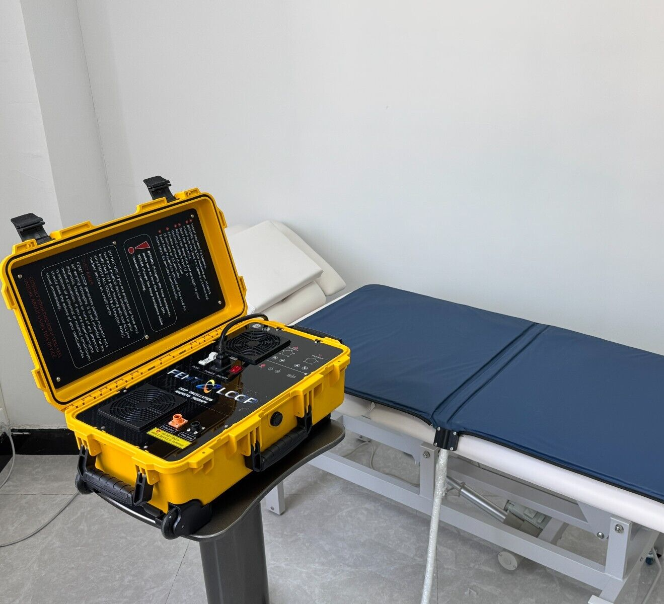 PEMT PEMF PMST LOOP Physiotherapy Magneto Magnetic Therapy Machine Pain ...