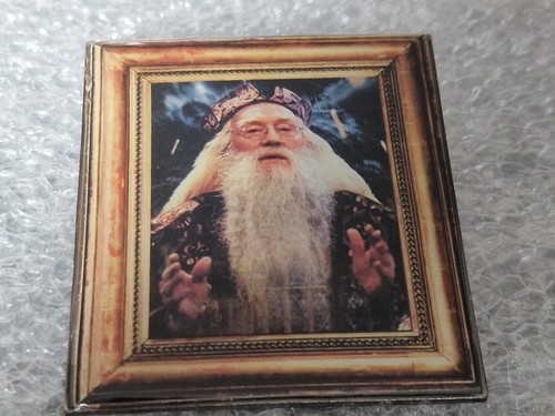Official Warner Bros Harry Potter Professor Albus Dumbledore Metal ...