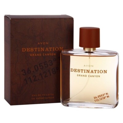 AVON Destination Grand Canyon Eau de Toilette Spray for Him 75 ml New ...